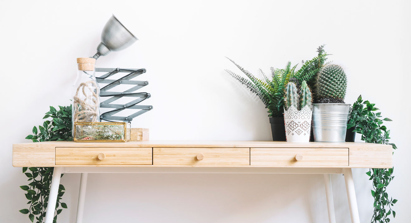 About The Salty Sea Monkey | Handmade Coastal Decor